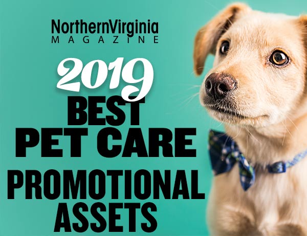 Best Pet Care 2019 readers poll | Online Media Toolkit
