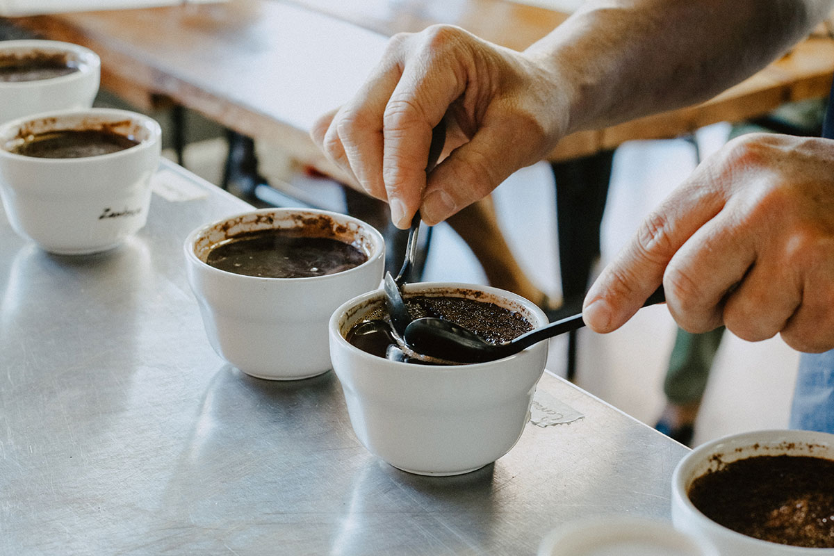 5 Coffee Education Classes In Northern Virginia 5 Coffee Education Classes In Northern Virginia