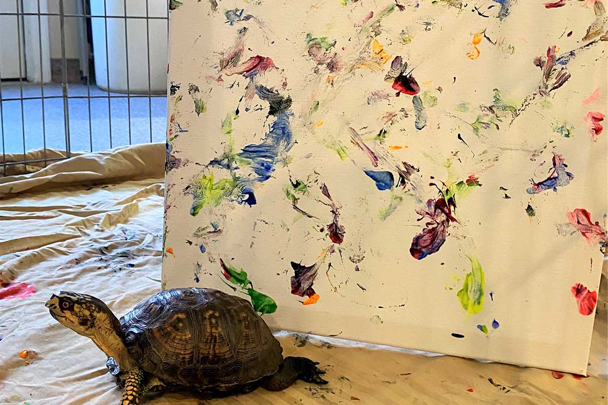 These animals painting will brighten your day