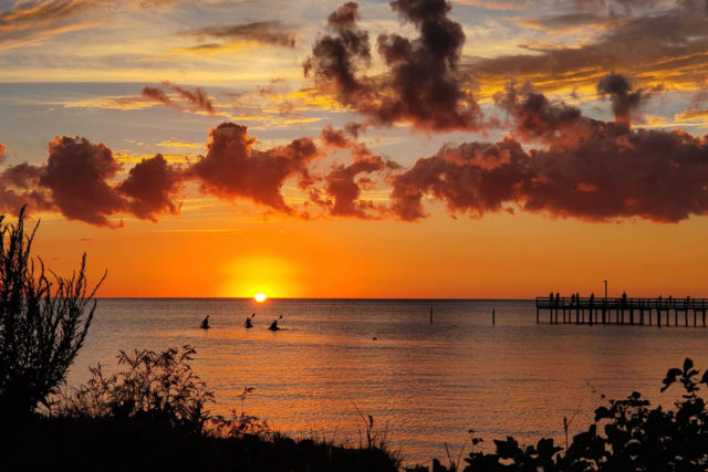 2021 Summer Beach Guide - Northern Virginia Magazine