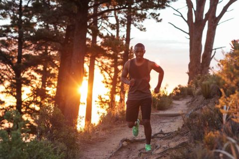 The Complete Guide To Hiking In Northern Virginia