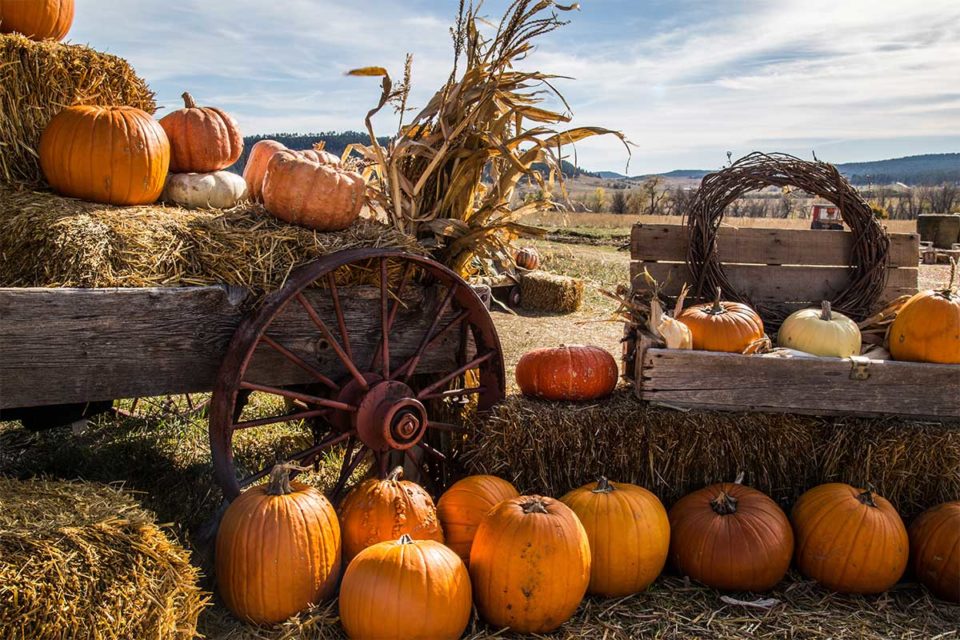 The Ultimate Guide To Fall Fun Around Northern Virginia