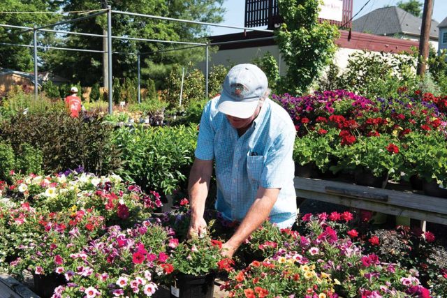 How Nalls Produce Survived NoVA's Urbanization, Becoming the Last Farm ...