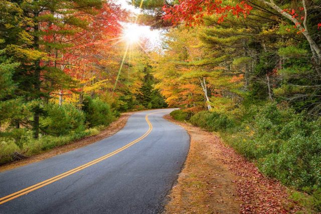 Find Out When Fall Foliage Will Peak in Northern Virginia
