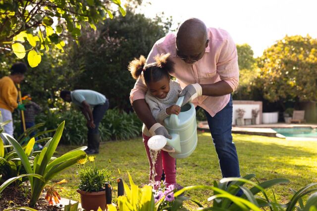 Where are There Garden Centers and Nurseries in NoVA?