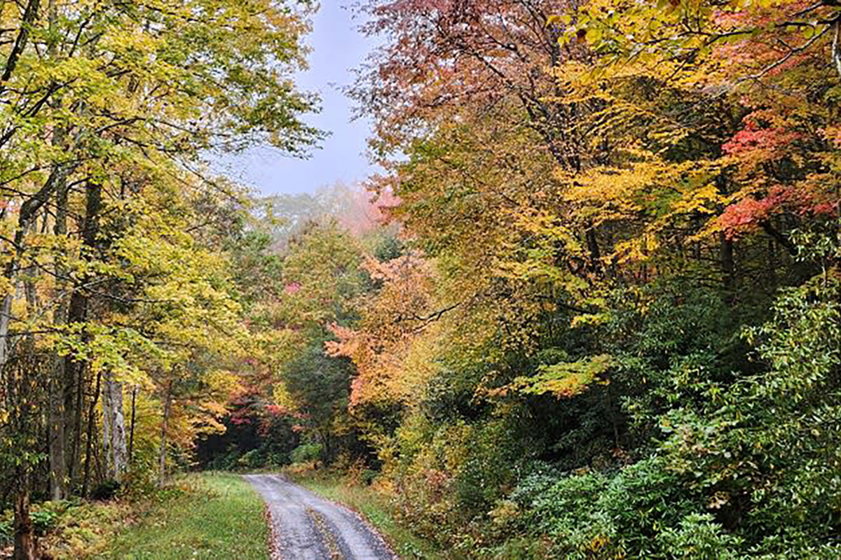 Peak Foliage Colors Emerge in Southwest Virginia
