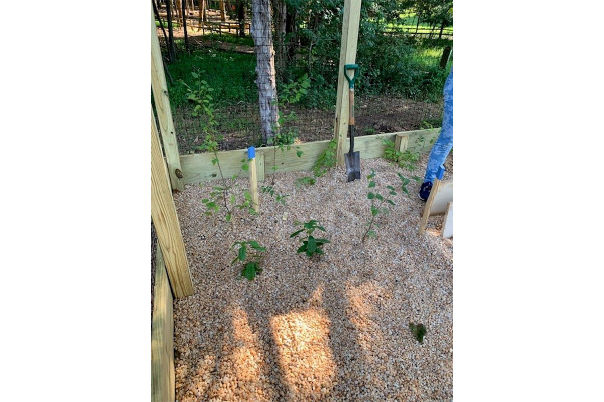Gravel Beds in Loudoun County Parks Help Trees Grow