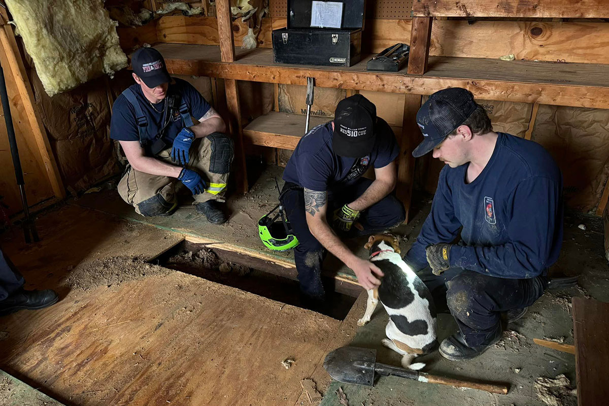 Benny the Beagle Experiences a 'Ruff' Day, One Involving a Rescue in ...