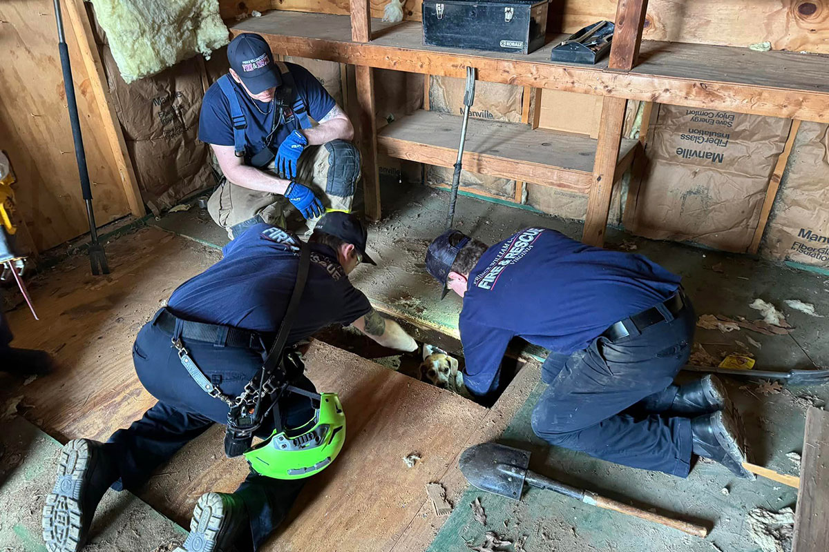 Benny the Beagle Experiences a 'Ruff' Day, One Involving a Rescue in ...