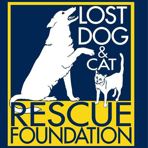 Lost Dog & Cat Rescue Foundation - Northern Virginia Magazine