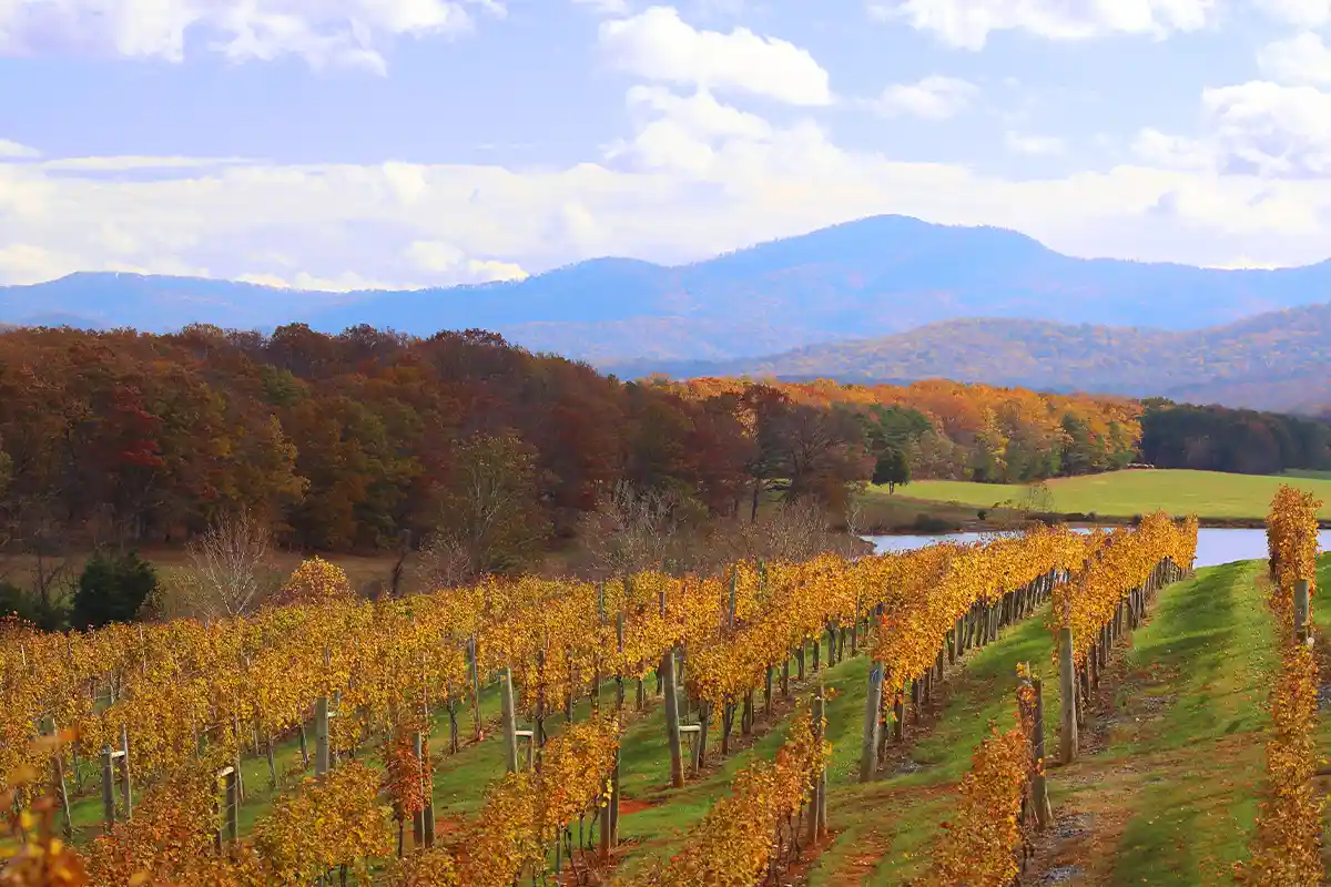 Wineries with Overnight Stays Offer Relaxing Virginia Getaways