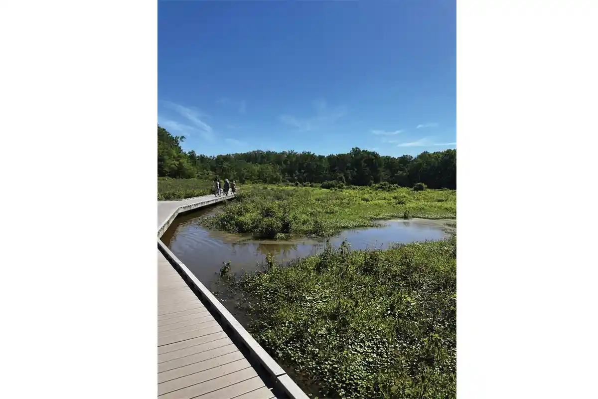 Picture-Perfect Spots Hidden in Plain Sight Around NoVA