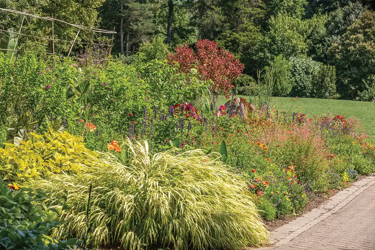 Why You Need to Include Native Plants in Your NoVA Garden