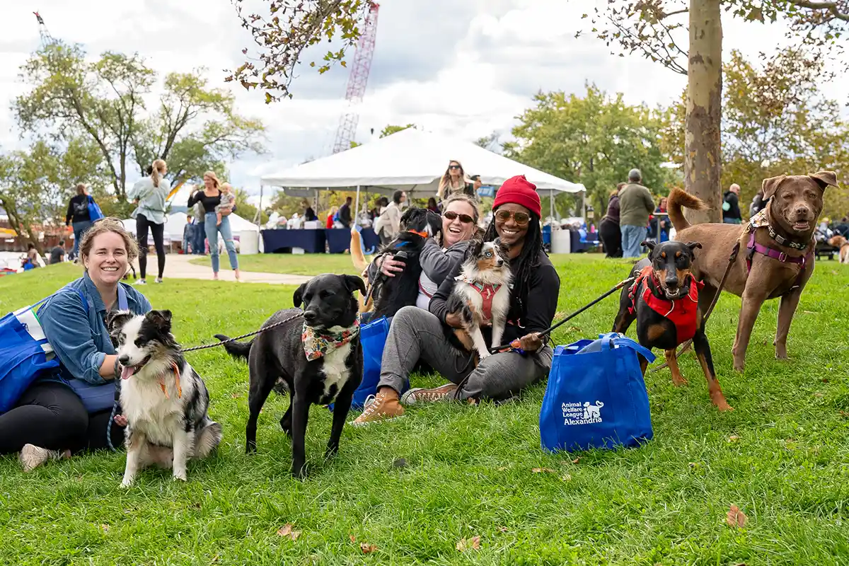 Are You Ready to Pawty at Paws in the Park?