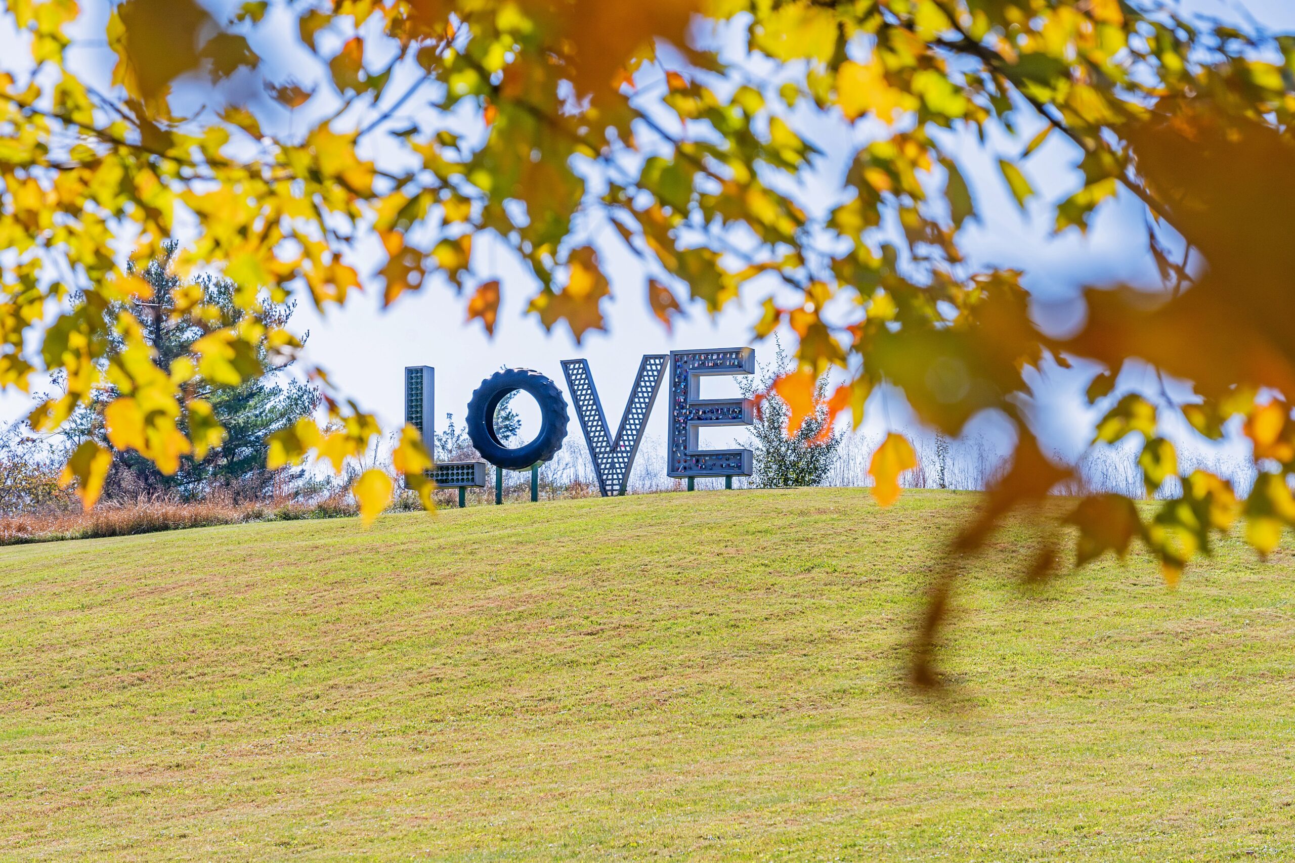 NoVA's Colorful Love Signs Will Make You Smile