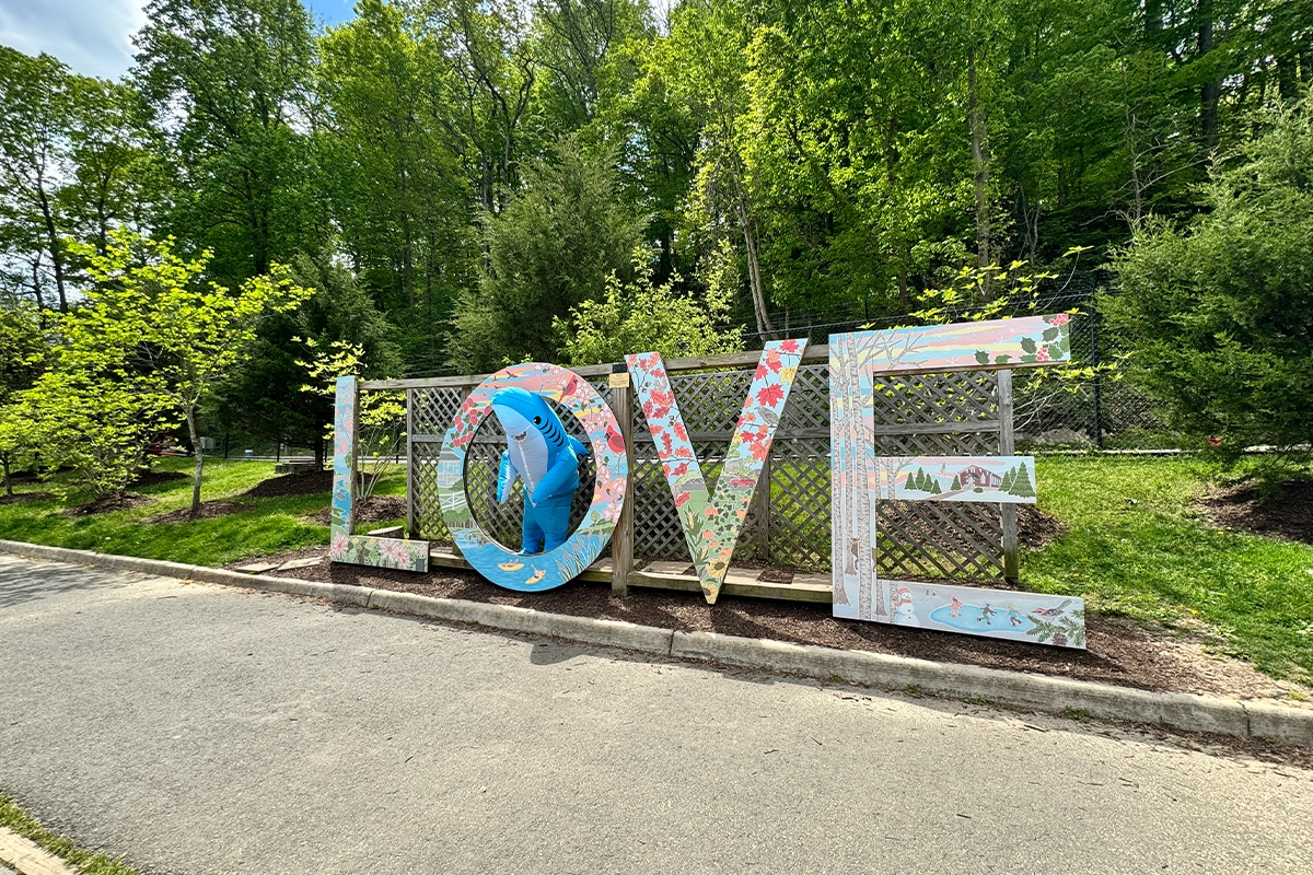 NoVA's Colorful Love Signs Will Make You Smile