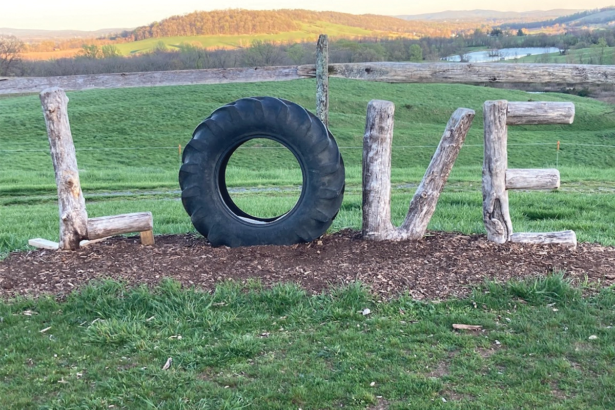NoVA's Colorful Love Signs Will Make You Smile