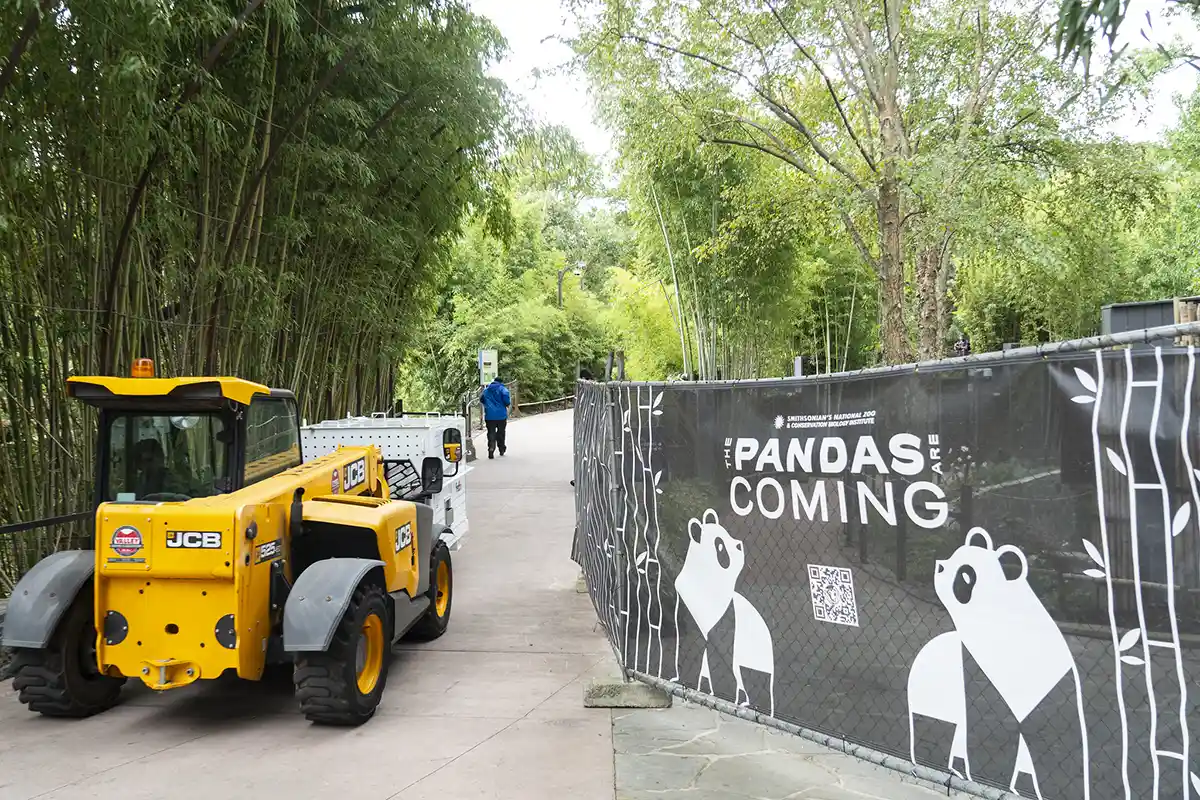 Giant Pandas Bao Li and Qing Bao Land in U.S. Today