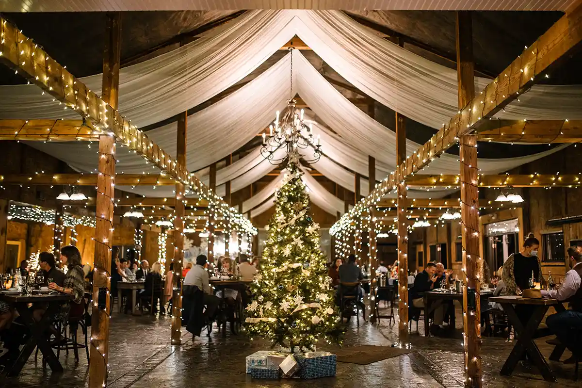 Kickoff the Holidays with Bluemont Vineyard’s Lighting of the Vines