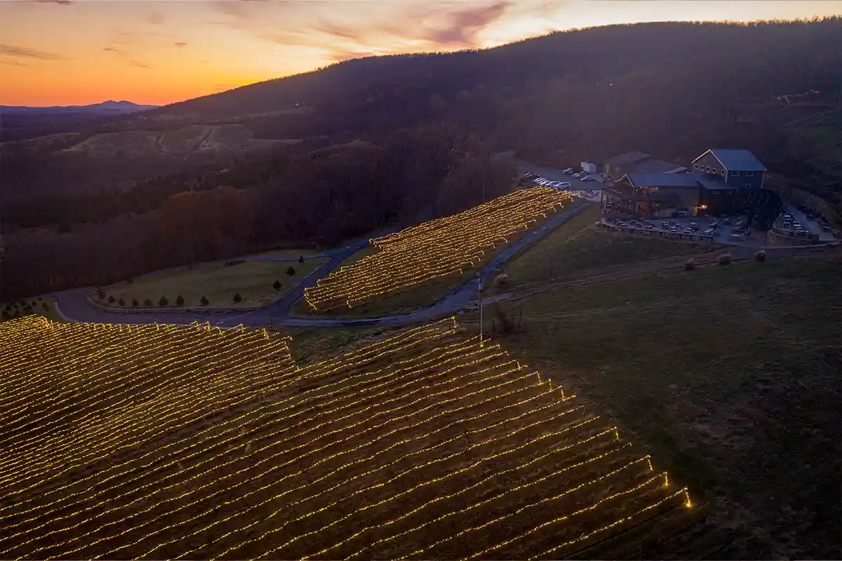 Kickoff the Holidays with Bluemont Vineyard’s Lighting of the Vines