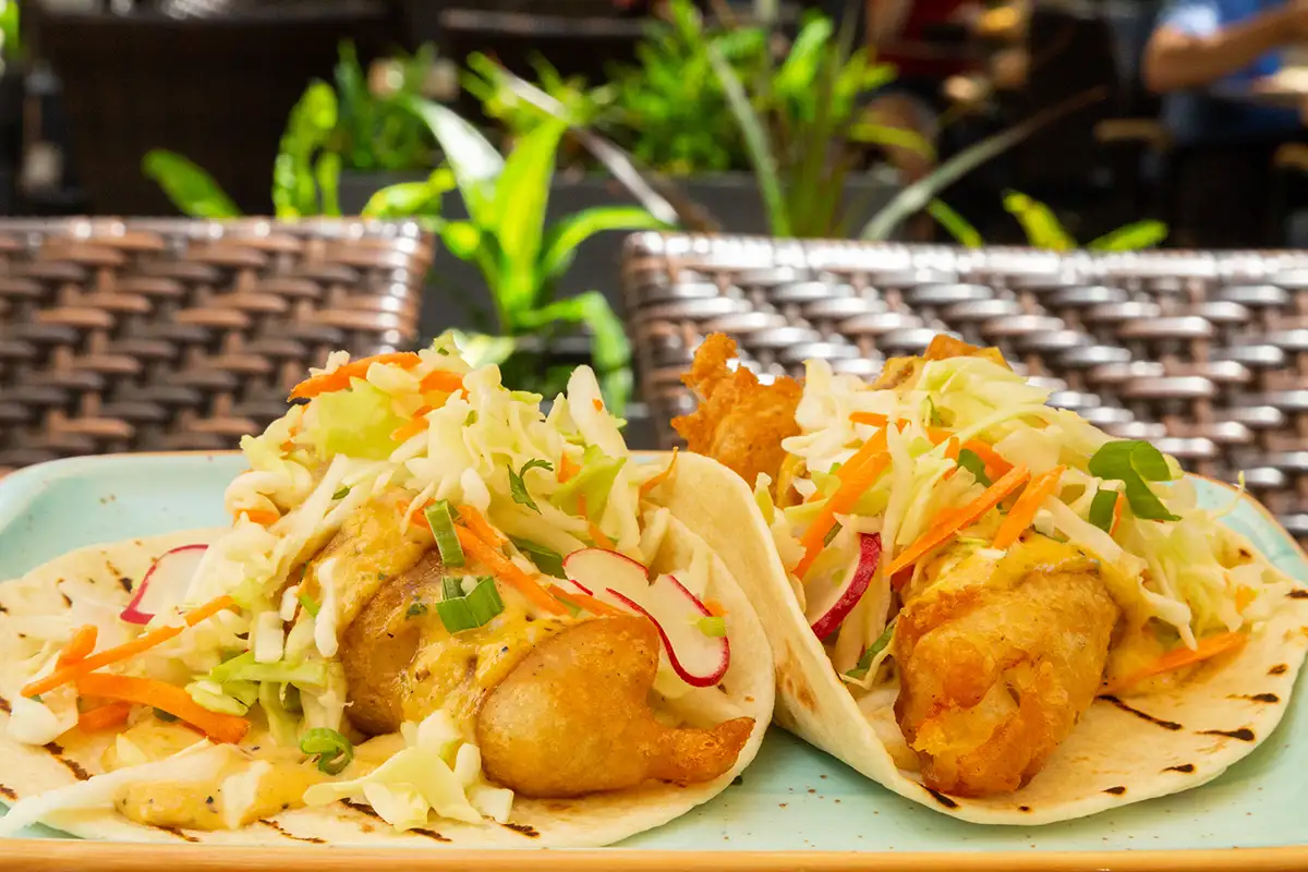 Fish Taco Chain Looks to Expand in Northern Virginia