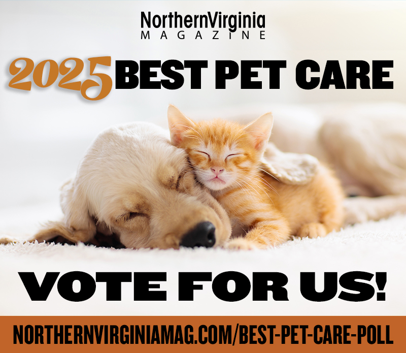 Best Pet Care 2025 readers poll | Online Media Toolkit