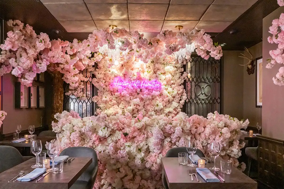 7 Cherry Blossom-Themed Pop-Up Bars in NoVA and DC