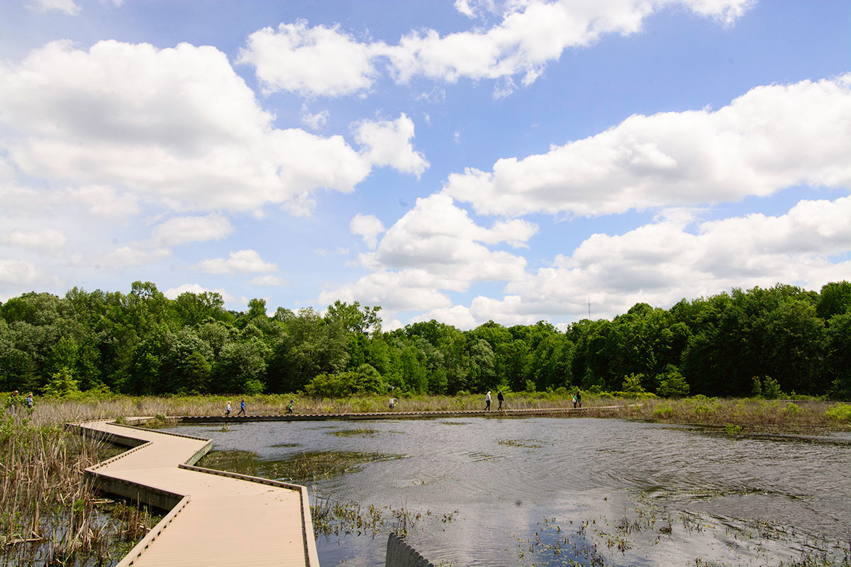 Huntley Meadows Park to Celebrate 2 Major Milestones This Month