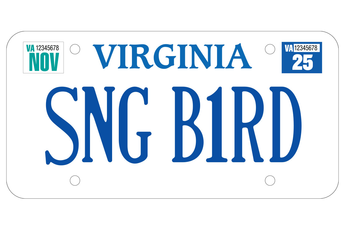 Can You Decipher These Virginia Vanity License Plates?