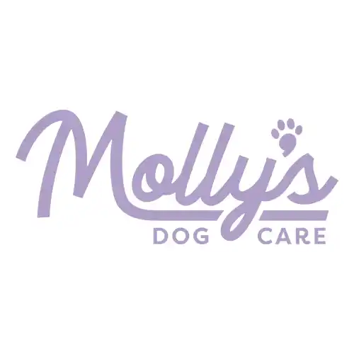 Molly's Dog Care - Northern Virginia Magazine