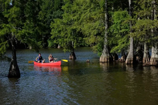 Take a Trip to Delaware’s Trap Pond State Park