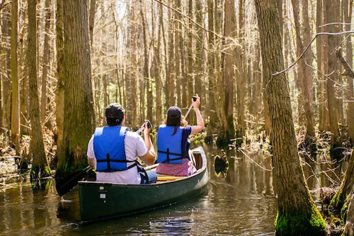 Take a Trip to Delaware’s Trap Pond State Park