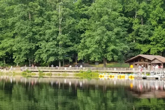 Beat the NoVA Heat at These 6 Shady Parks