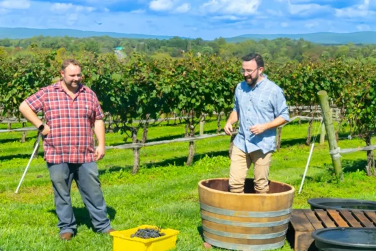 Have a Grape-Stomping Good Time at These 3 NoVA Wineries