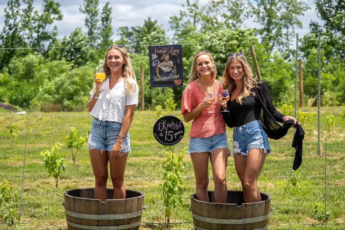 Have a Grape-Stomping Good Time at These 3 NoVA Wineries