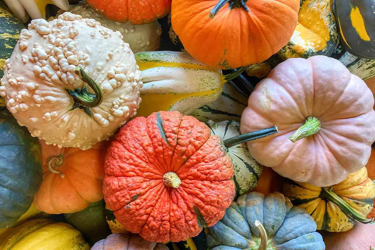 These 6 Fall Maryland Festivals Are Worth the Drive