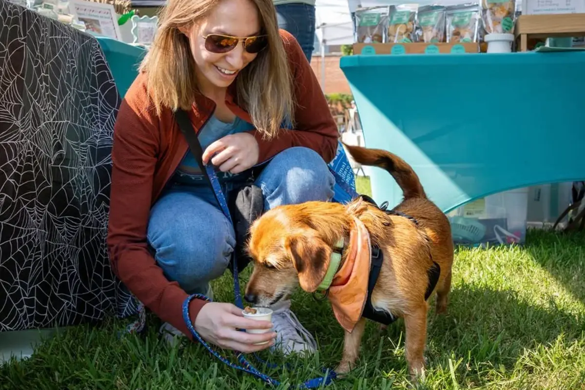 Bring Fido to These 6 Northern Virginia Fall Dog Festivals