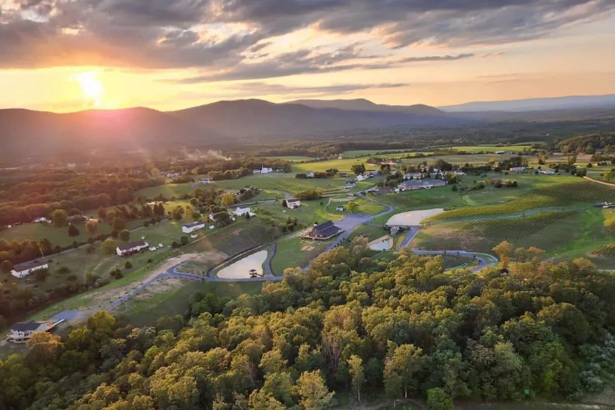 Savor Wine and Spectacular Views at Reitano Vineyards