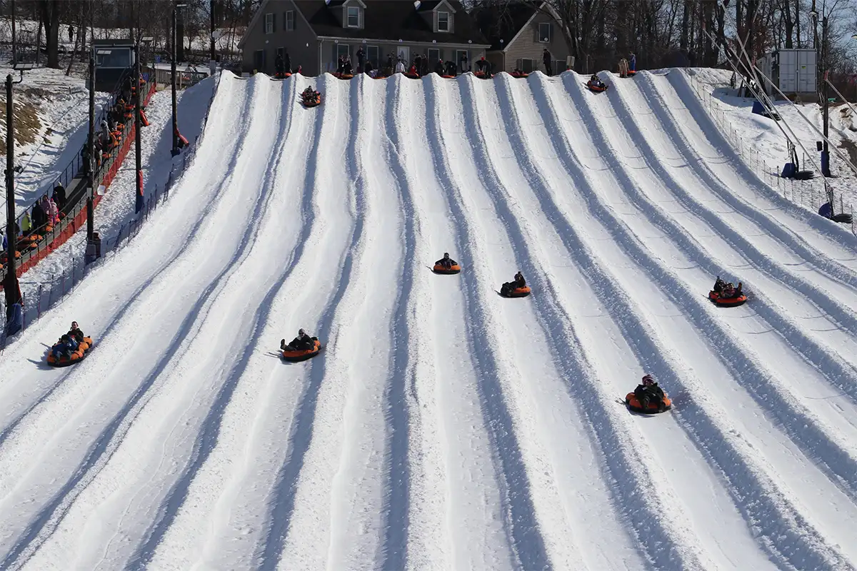 7 NoVA Northern Virginia Winter Bucket List Items
