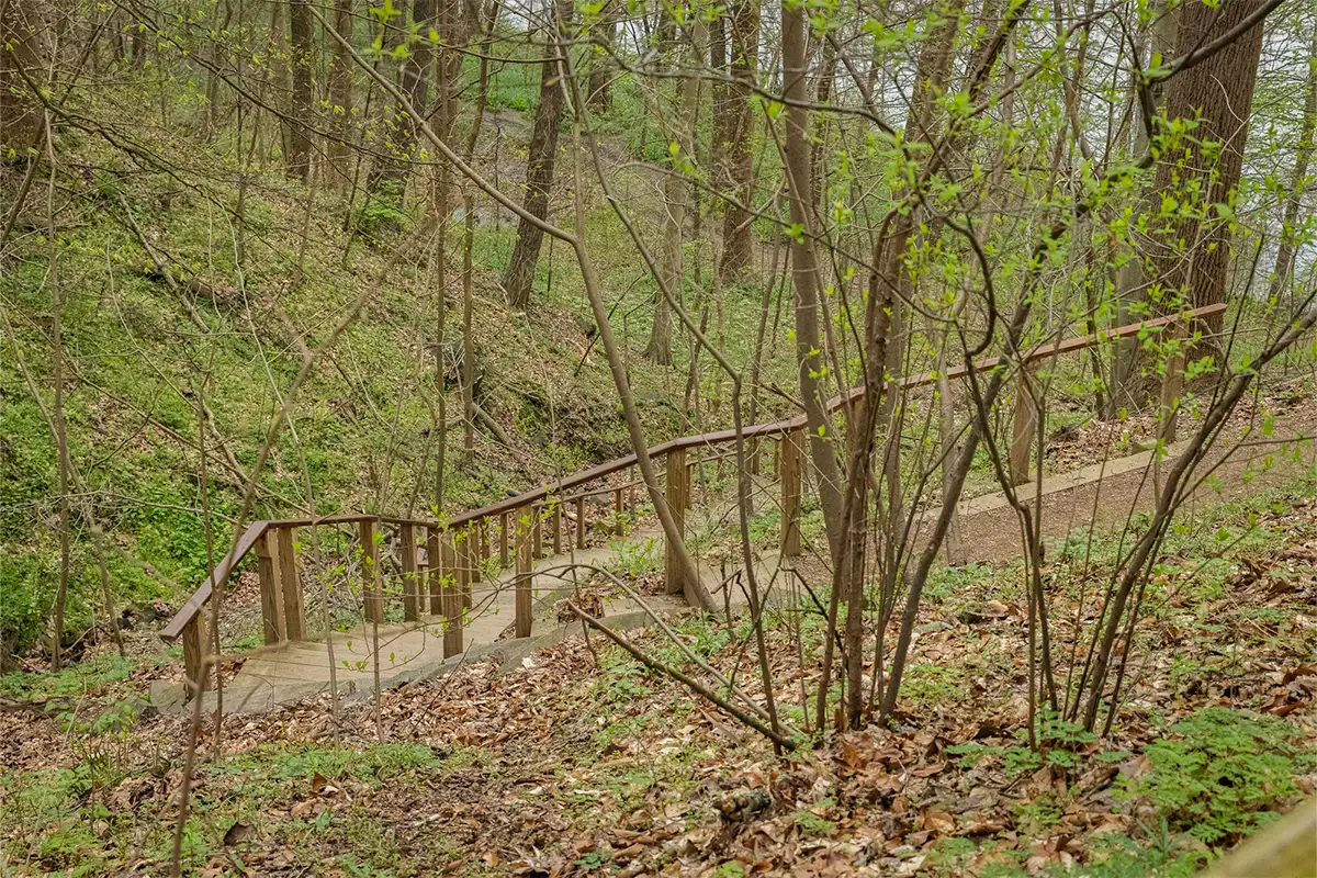 4 Dog-Friendly Hiking Trails to Explore in Northern Virginia