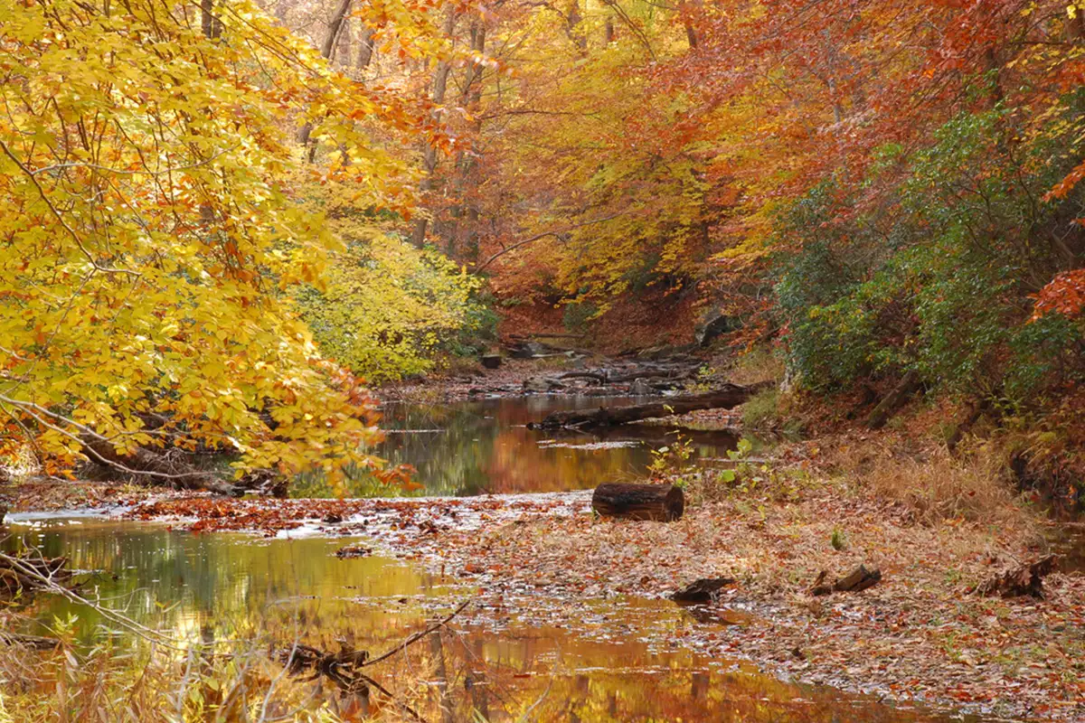 6 Scenic Waterfall Trails to Explore in and Around Northern Virginia